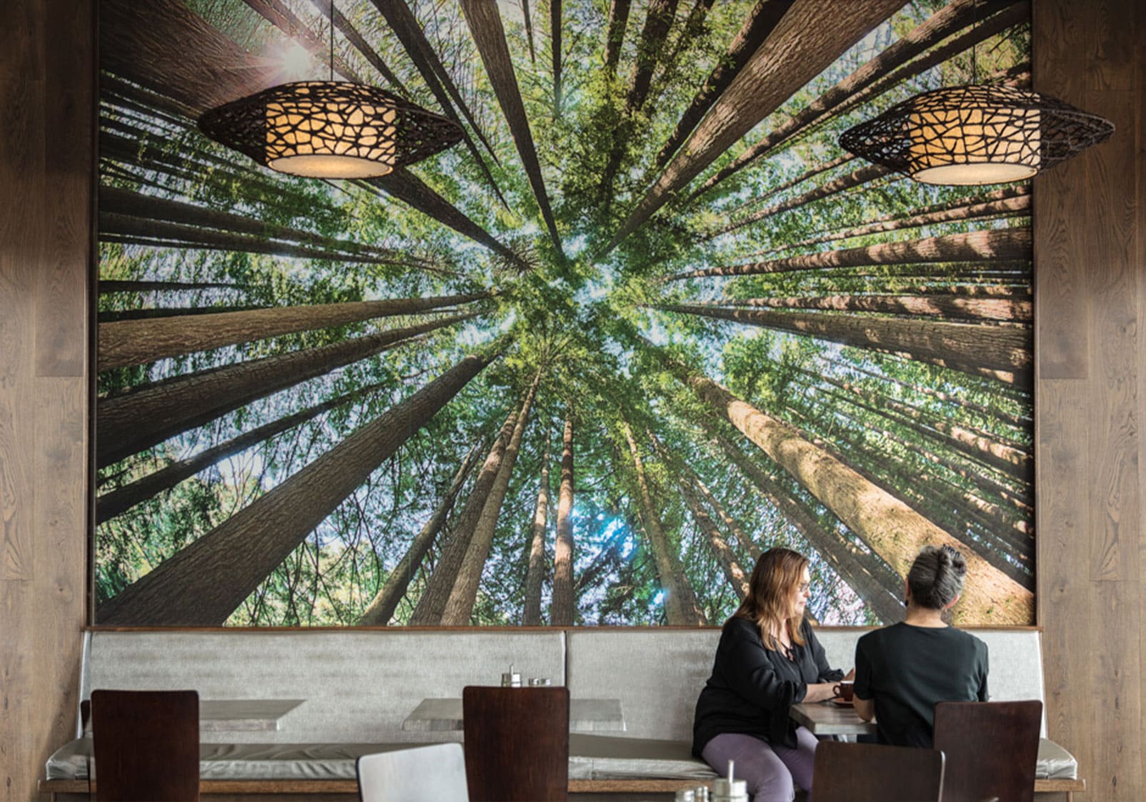 Cafe Acoustic Solutions | Acoufelt