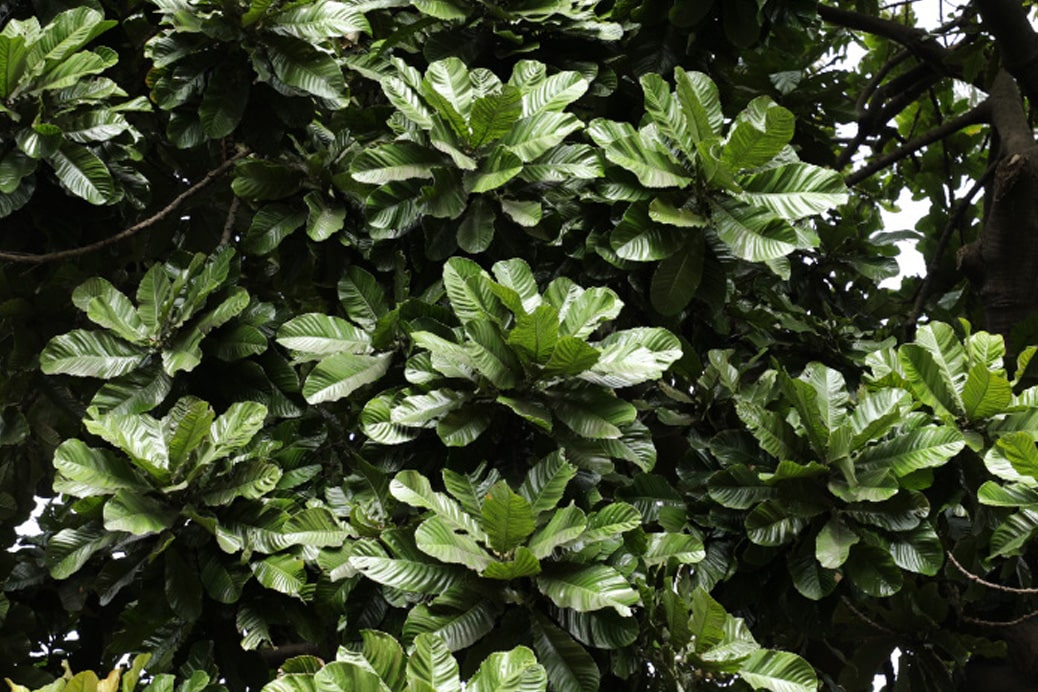 FilaSorb Chapter Two | Acoufelt