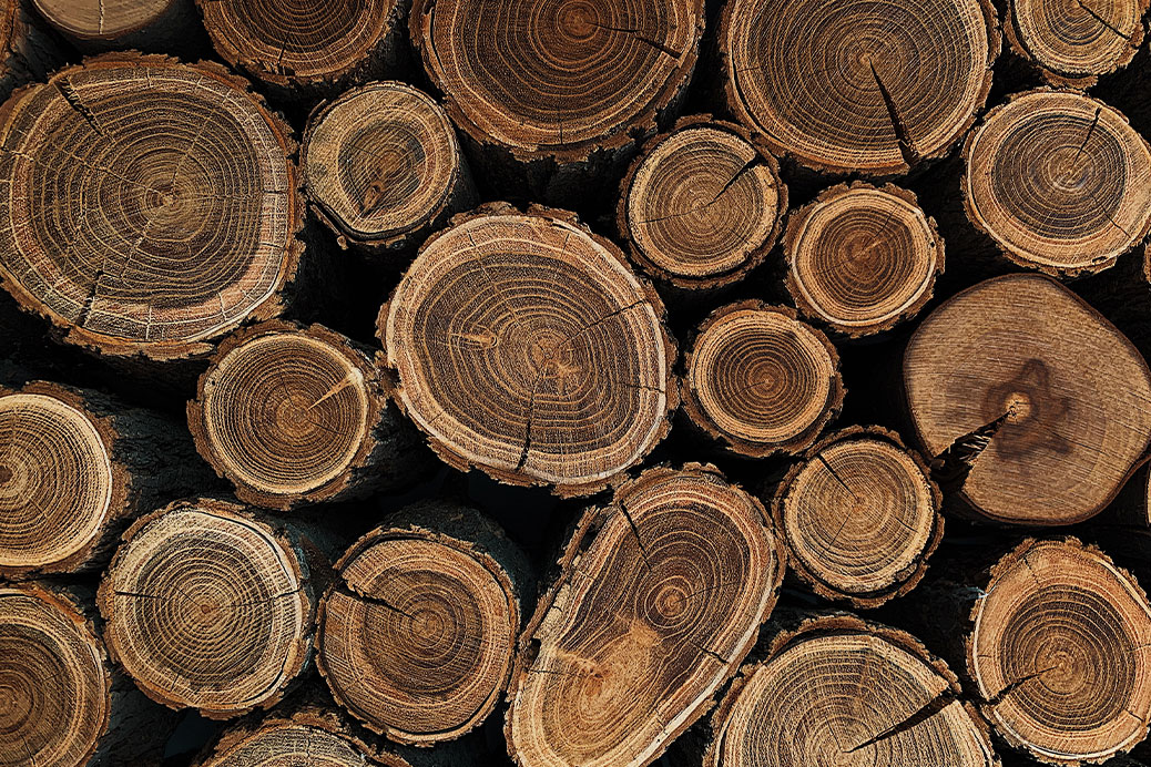 FilaSorb Chapter Two | Acoufelt