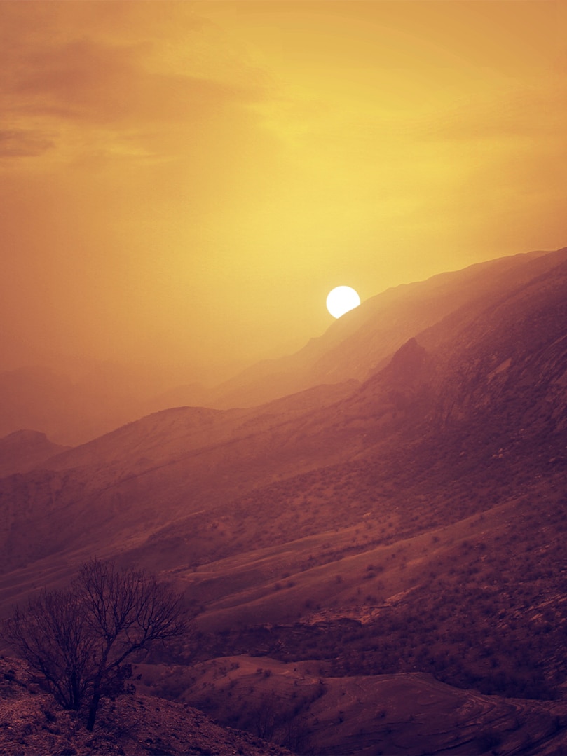 FilaSorb Chapter Three | Acoufelt