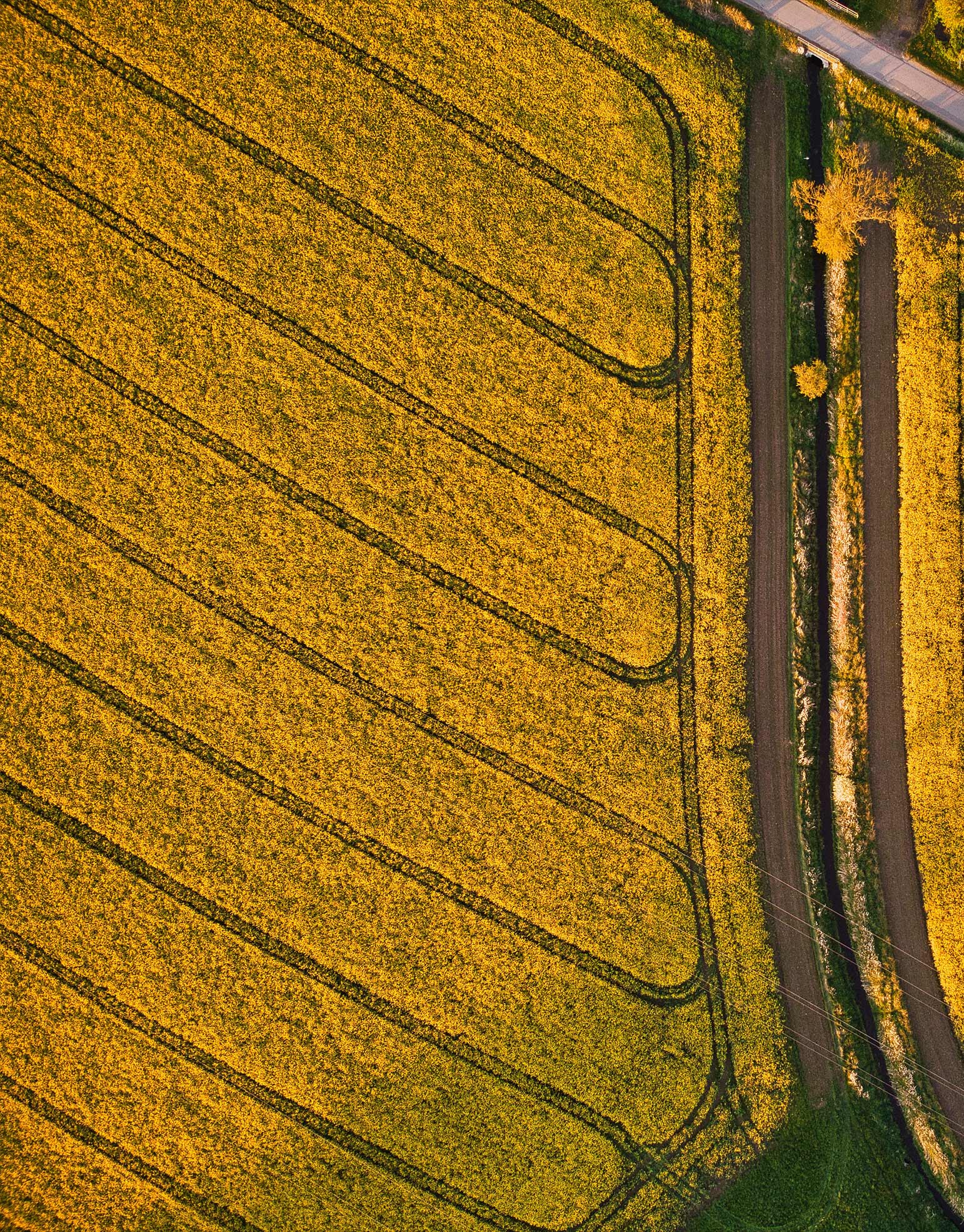 FilaSorb Chapter Three | Acoufelt