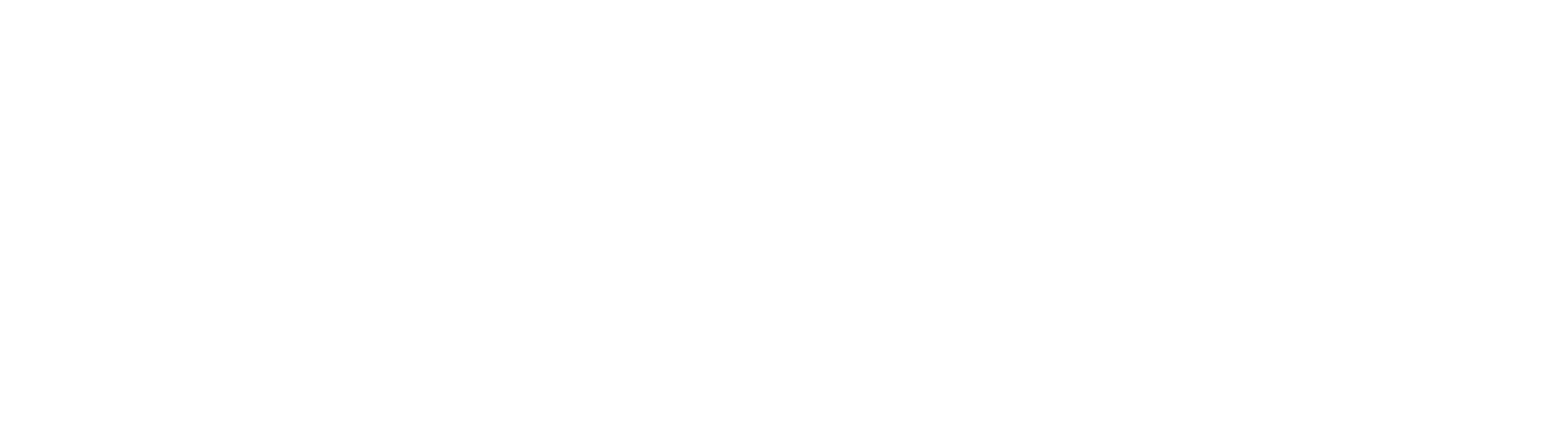 Whimsical Journey | Acoufelt