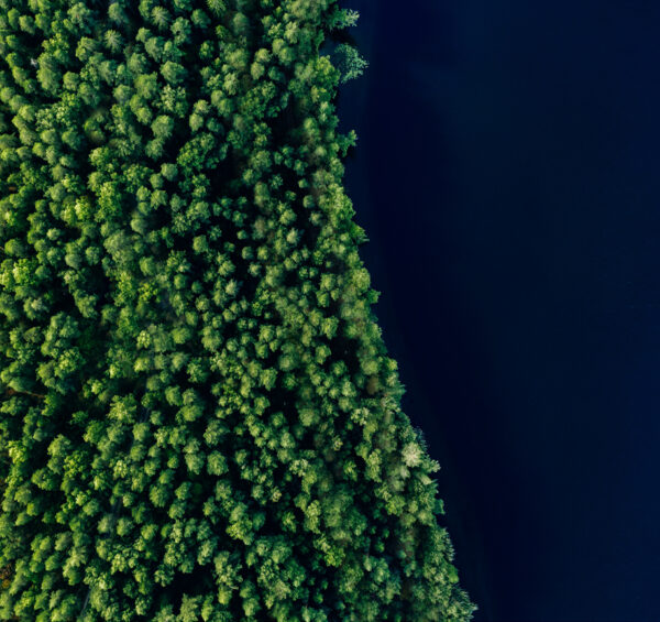 Acoustic Panels for Architectural & Commercial Projects | Acoufelt ...